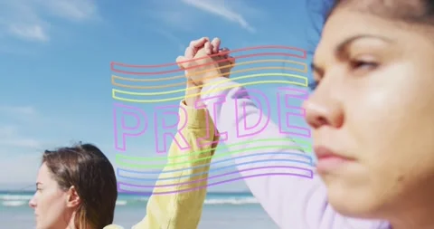Animation of pride flag over diverse les... | Stock Video | Pond5