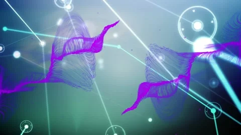 Animation of purple mesh over network of... | Stock Video | Pond5