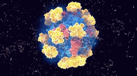 Animation of the pyruvate dehydrogenase ... | Stock Video | Pond5