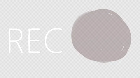 Animation of a REC icon with a pulsating... | Stock Video | Pond5