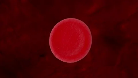 Animation of a red blood cell isolated o... | Stock Video | Pond5