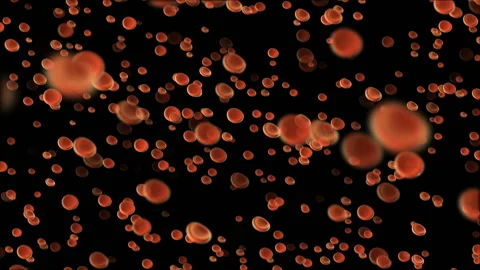Animation of Red blood cells on black ba... | Stock Video | Pond5