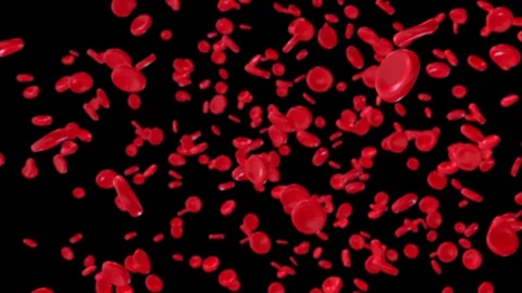 Animation of red blood cells on a black ... | Stock Video | Pond5