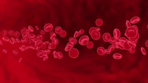 animation of red blood cells flowing thr... | Stock Video | Pond5