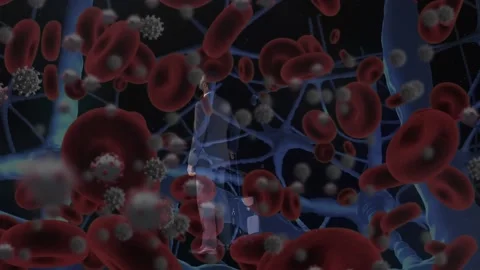 Animation of red blood cells, infected c... | Stock Video | Pond5