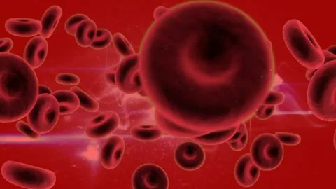 Animation of red blood cells on red back... | Stock Video | Pond5