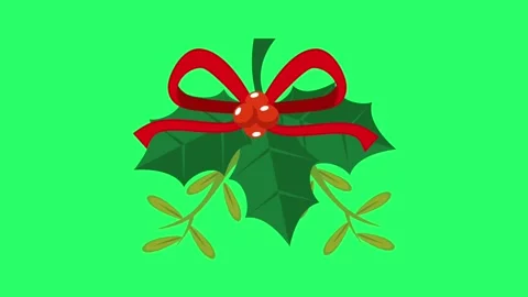Animation red bow on green screen. | Stock Video | Pond5