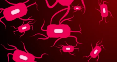 Animation of red cells moving on dark re... | Stock Video | Pond5