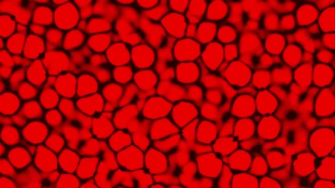 Animation of red cells under the microsc... | Stock Video | Pond5