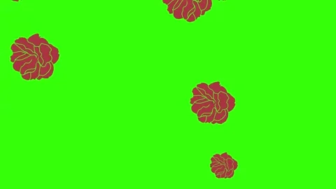 Animation of red roses, graphic design o... | Stock Video | Pond5