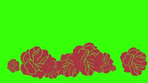 Animation of red roses, graphic design o... | Stock Video | Pond5