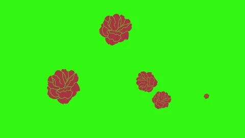 Animation of red roses, graphic design o... | Stock Video | Pond5