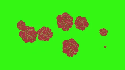 Animation of red roses, graphic design o... | Stock Video | Pond5