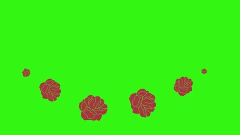 Animation of red roses, graphic design o... | Stock Video | Pond5