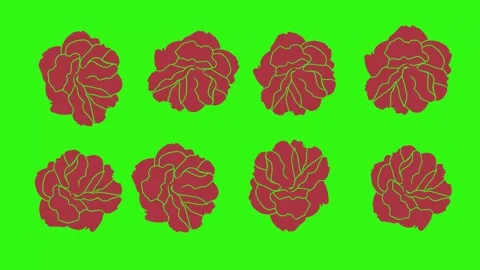 Animation of red roses, graphic design o... | Stock Video | Pond5