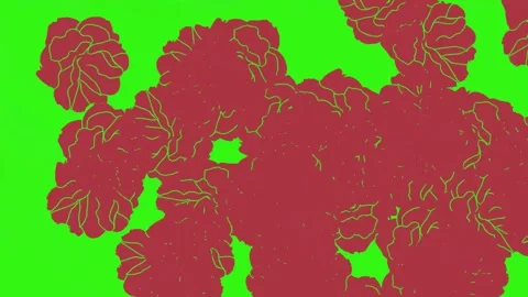 Animation of red roses, graphic design o... | Stock Video | Pond5