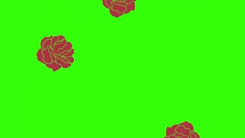 Animation of red roses, graphic design o... | Stock Video | Pond5