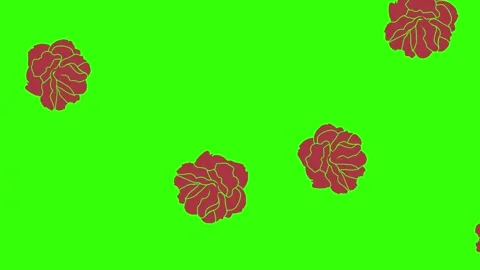 Animation of red roses, graphic design o... | Stock Video | Pond5