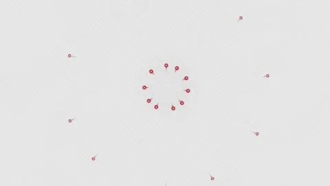 Animation of a red salute with shining r... | Stock Video | Pond5