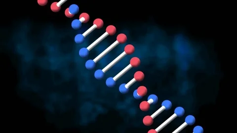 Animation of rotating 3d model dna stran... | Stock Video | Pond5