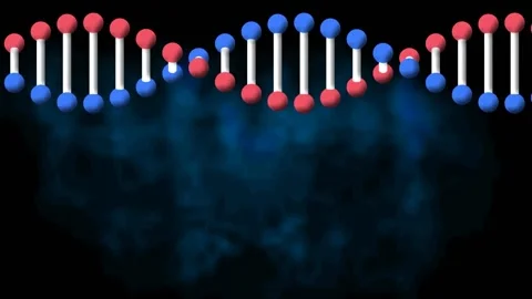 Animation of rotating 3d model dna stran... | Stock Video | Pond5