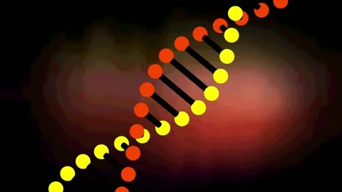 Animation of rotating 3d model dna stran... | Stock Video | Pond5