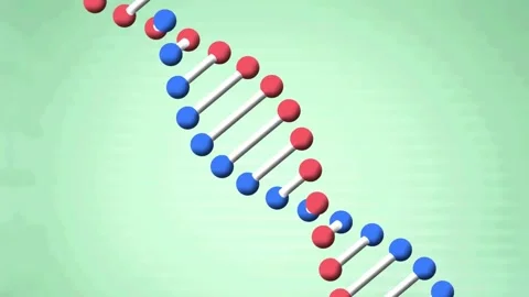 Animation of rotating 3d model dna stran... | Stock Video | Pond5