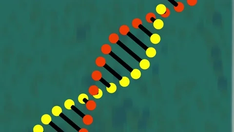 Animation of rotating 3d model dna stran... | Stock Video | Pond5