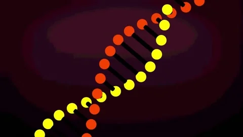 Animation of rotating 3d model dna stran... | Stock Video | Pond5
