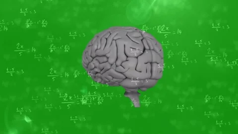 Animation of rotating brain and math for... | Stock Video | Pond5