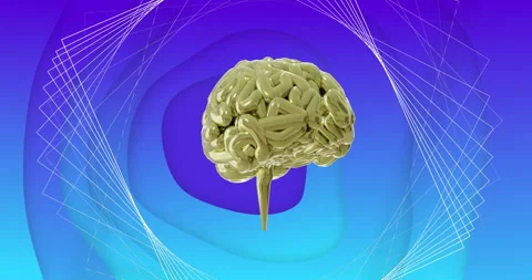 Animation of rotating brain over 3d netw... | Stock Video | Pond5