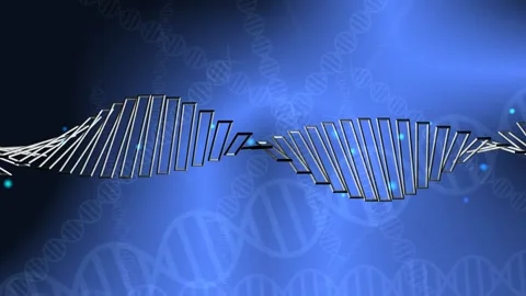 Animation of rotating DNA helix, Deoxyri... | Stock Video | Pond5
