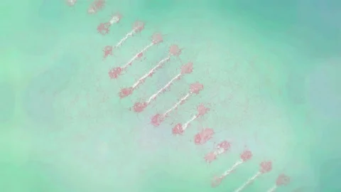 Animation of rotating granular 3d dna st... | Stock Video | Pond5