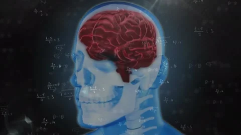 Animation of rotating human head model, ... | Stock Video | Pond5