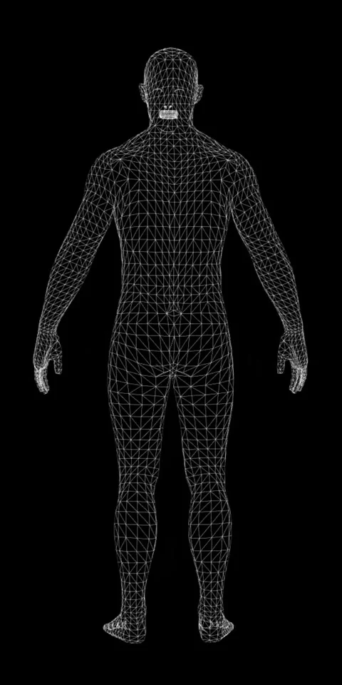 Male Body Animation Stock Video Footage | Royalty Free Male Body ...