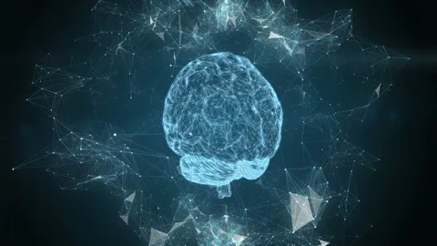 Animation of the rotation of the human b... | Stock Video | Pond5