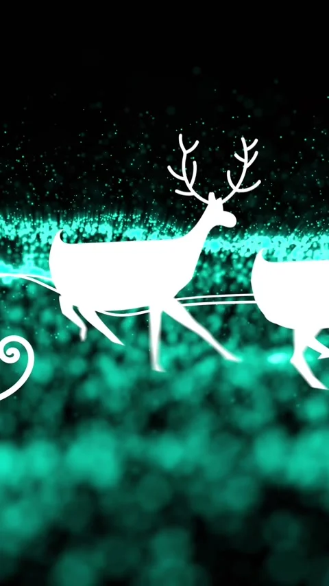 Santa Sleigh Stock Videos – Royalty-Free HD & 4K Videos | Page 4