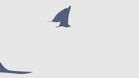 Animation of a school of chasing sharks ... | Stock Video | Pond5