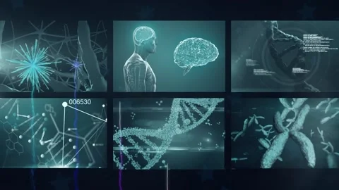 Animation of screens with human biologic... | Stock Video | Pond5