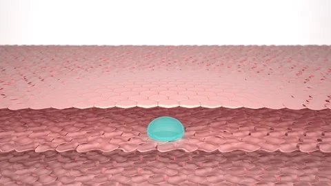 Skin Animation Stock Videos – Royalty-Free HD & 4K Videos