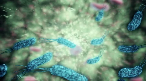 Helicobacter Pylori Stock Video Footage | Royalty Free Helicobacter ...