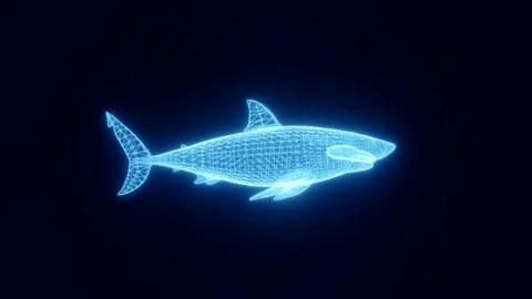 Shark Animation Stock Video Footage | Royalty Free Shark Animation ...