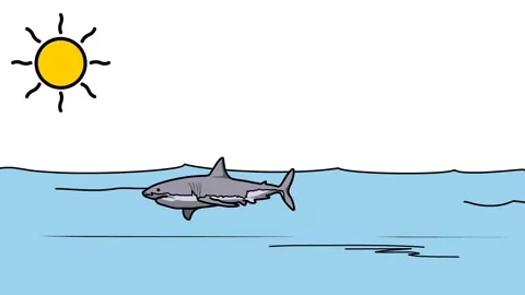 Animation shark Sketch and 2d animated | Stock Video | Pond5