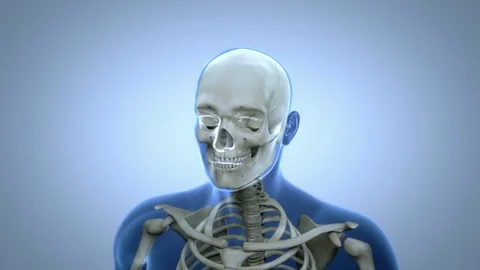 Animation showing all the parts of the S... | Stock Video | Pond5