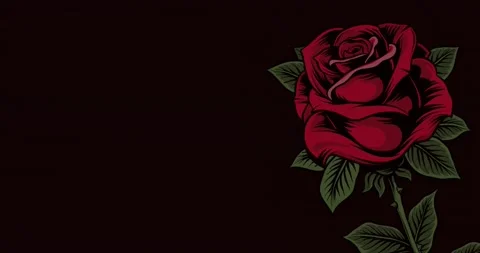 Animation of single red rose moving, wit... | Stock Video | Pond5