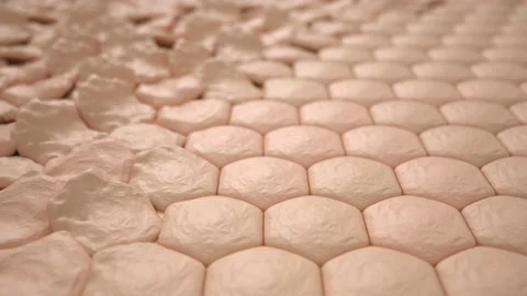 Animation of skin cell repair. Rejuvenat... | Stock Video | Pond5