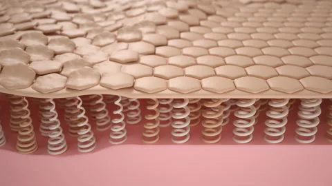 Animation skin layers and reduce up sagg... | Stock Video | Pond5