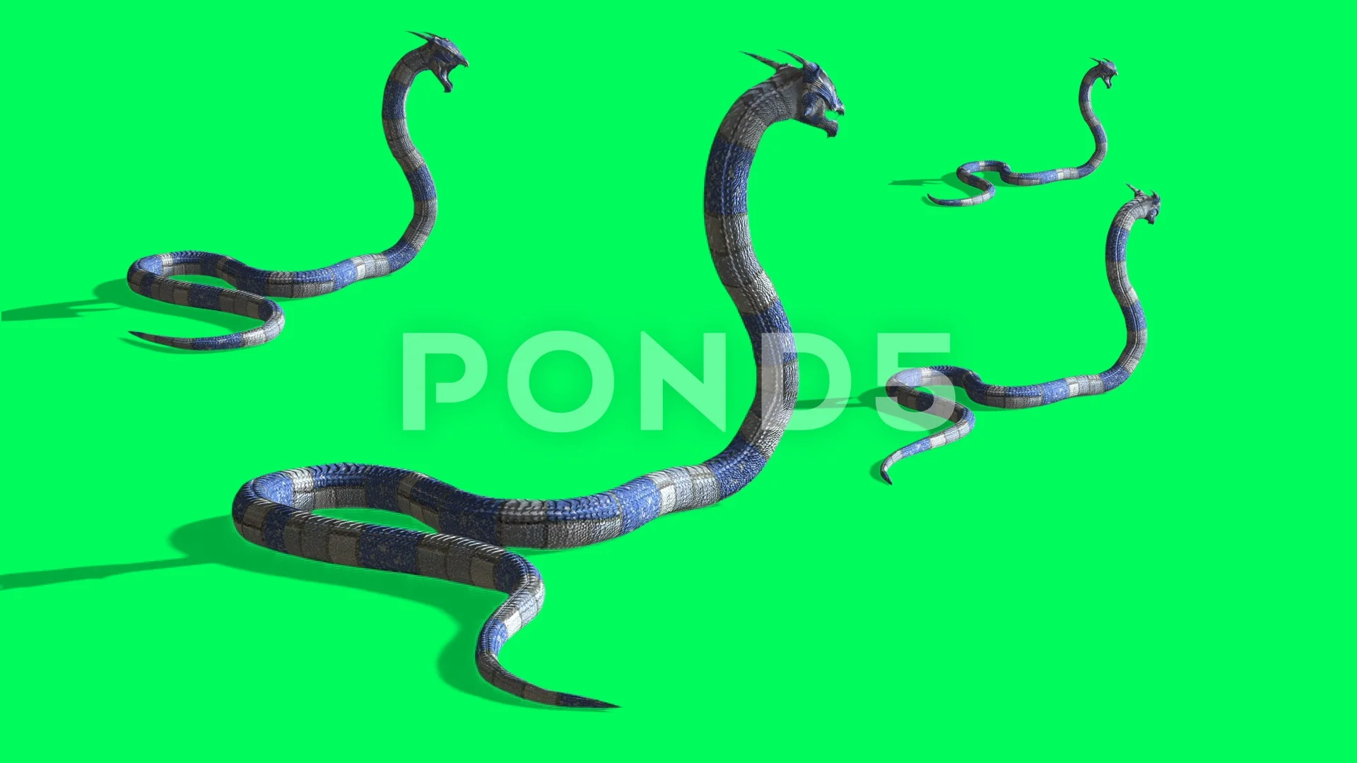 Snake Attack Wallpaper