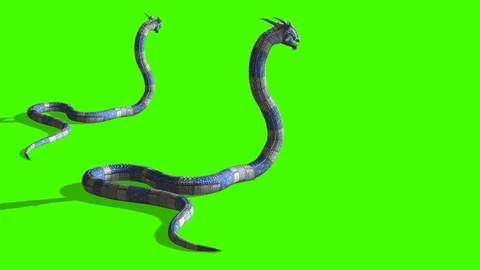 Snake Green Screen Footage Stock Videos – Royalty-Free HD & 4K Videos ...