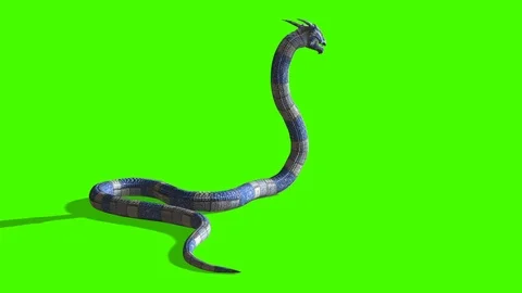 animation of Snake attack - Python Green... | Stock Video | Pond5